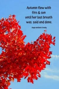 Fall Quotes & Autumn Quotes to enchant the Soul | Momsoulsoothers