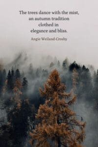 Fall Quotes & Autumn Quotes to enchant the Soul | Momsoulsoothers