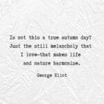 Tree Quotes & Forest Quotes that Branch to Your Soul | Momsoulsoothers