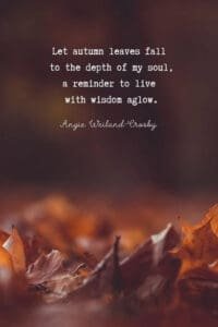 Fall Quotes & Autumn Quotes to enchant the Soul | Momsoulsoothers