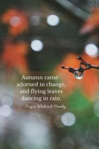 Fall Quotes & Autumn Quotes to enchant the Soul | Momsoulsoothers