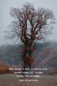 Fall Quotes & Autumn Quotes to enchant the Soul | Momsoulsoothers