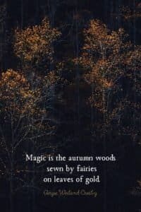 Fall Quotes & Autumn Quotes to enchant the Soul | Momsoulsoothers