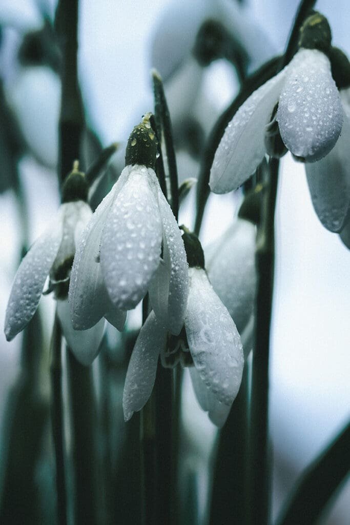 Grief Quotes to Soothe Your Soul | Momsoulsoothers